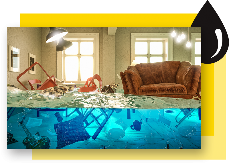 Water damage – ASDT